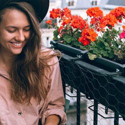 Fire Escape Gardening | Mostardi Nursery